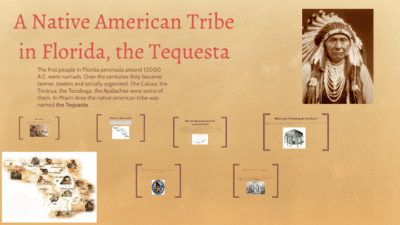 HOW WELL DO YOU KNOW MIAMI? HERE ARE FUN FACTS FOR YOU!