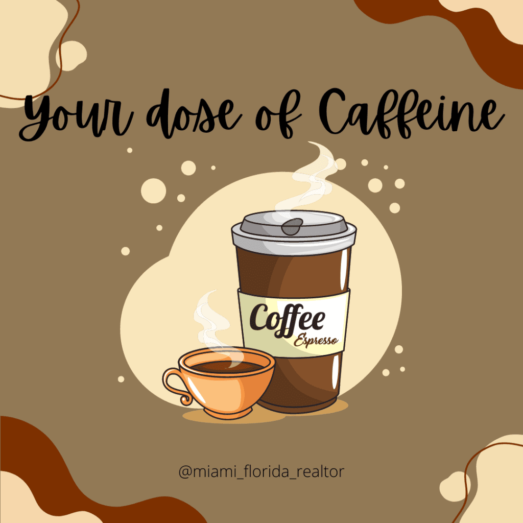 5 OF THE BEST COFFEE STOPS IN MIAMI WORTH CONSIDERING